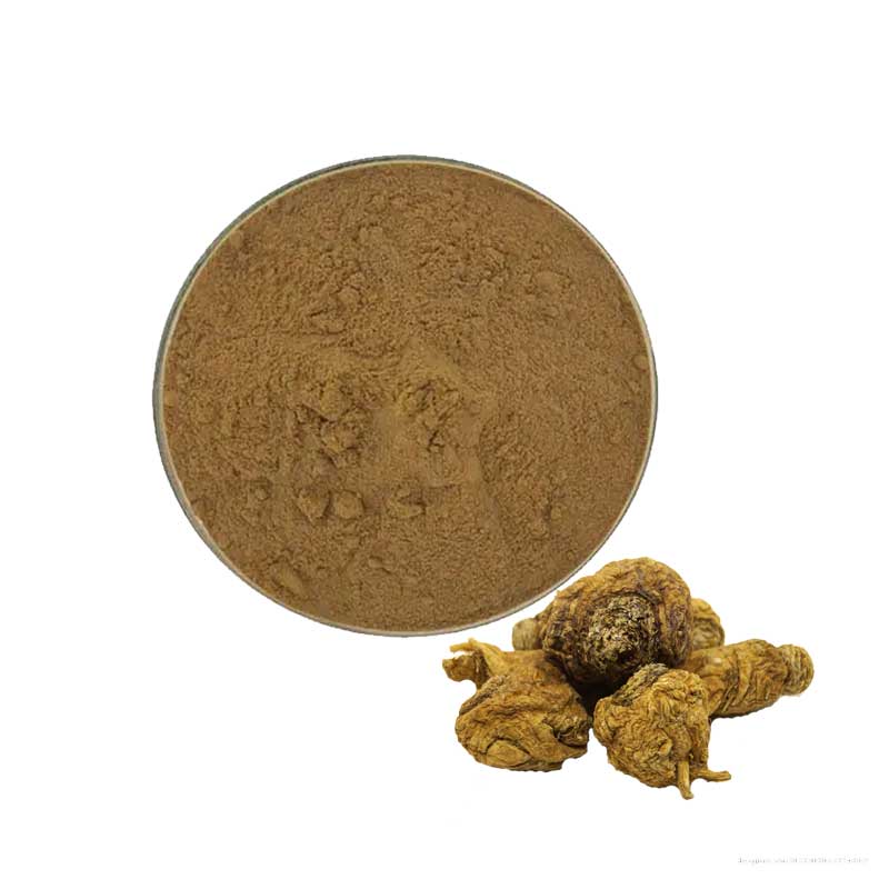Maca extract supplier-HongHaoherb