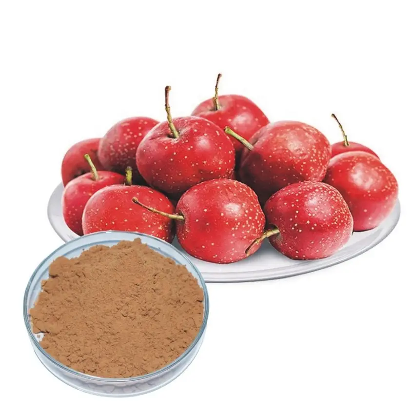 Organic hawthorn Berry powder – HongHaoherb