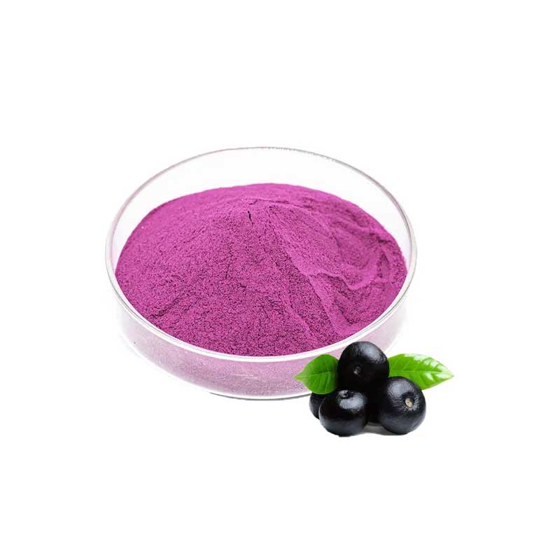 Acai Berry Powder – HongHaoherb