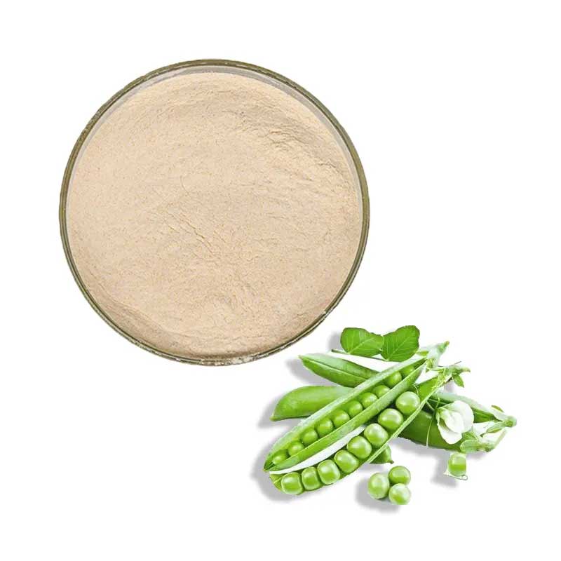 pea protein/pea protein isolate supplier- HongHaoherb