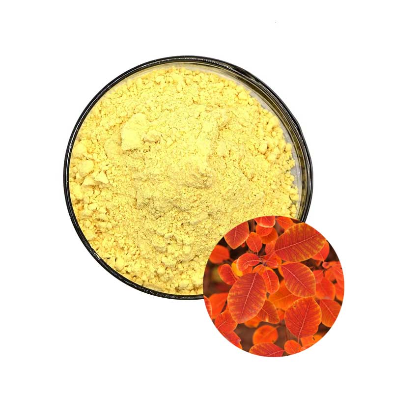Sumac Extract Fisetin powder – HongHaoherb
