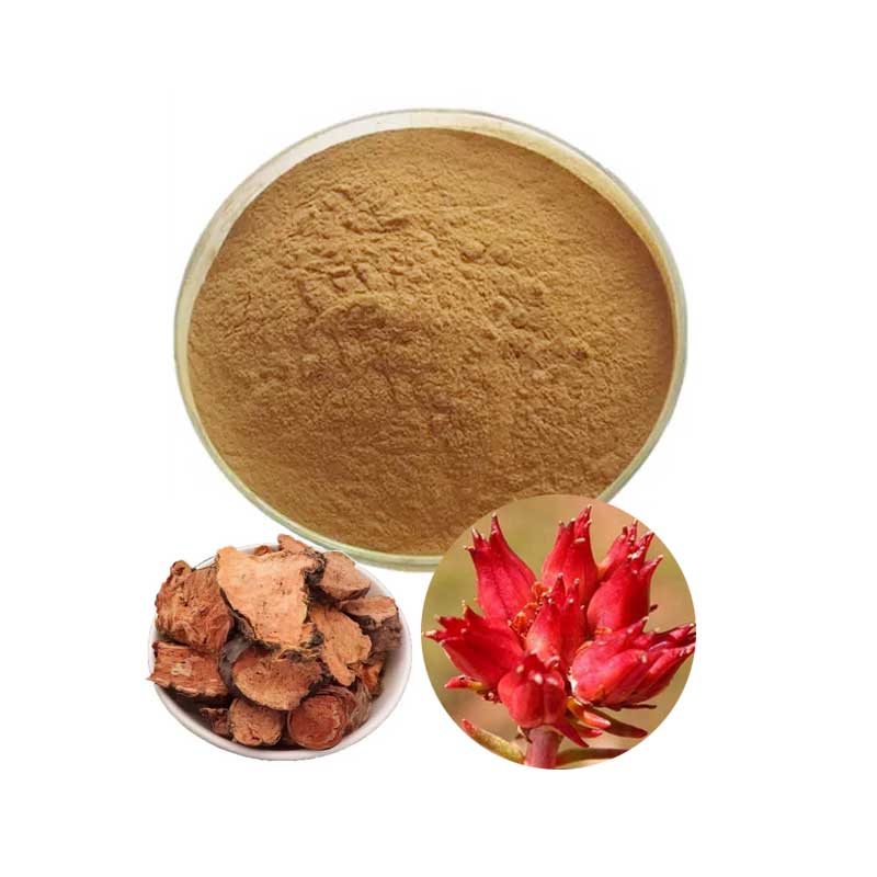 Rhodiola Rosea Extract – HongHaoherb