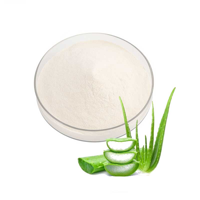 Aloe Vera Freeze Dried Powder supplier- HongHaoherb