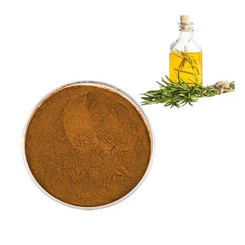 Rosemary Extract powder and oil supplier- HongHaoherb