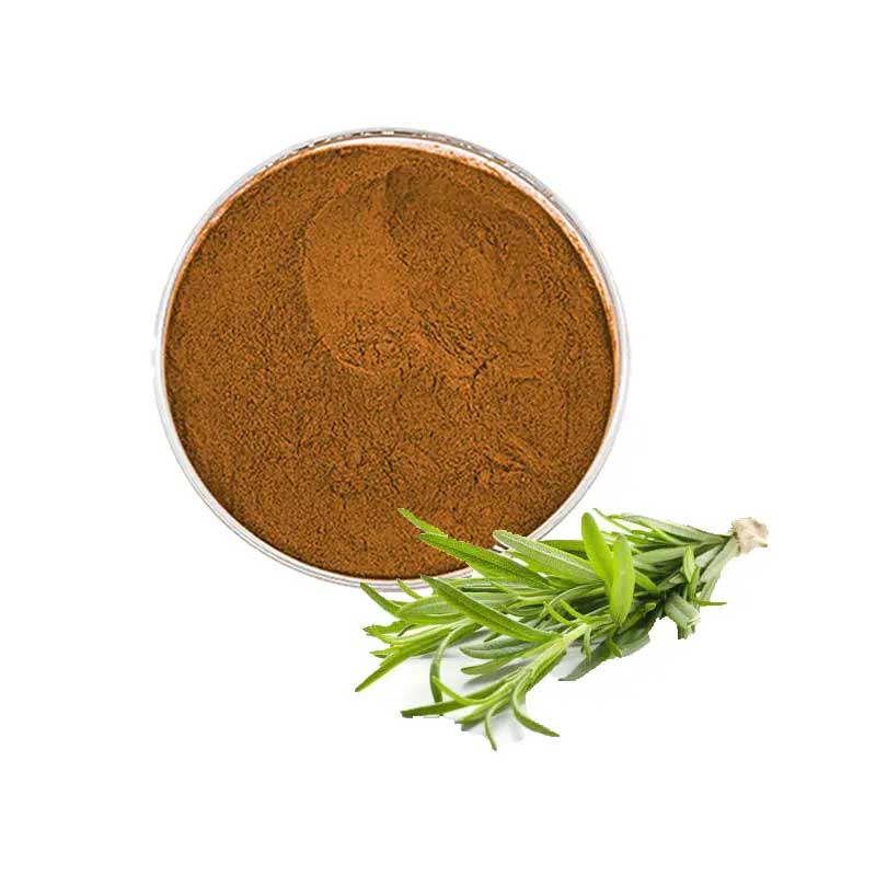Rosemary Extract powder and oil supplier- HongHaoherb