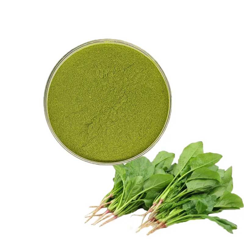 Organic Spinach Powder supplier-HongHaoherb