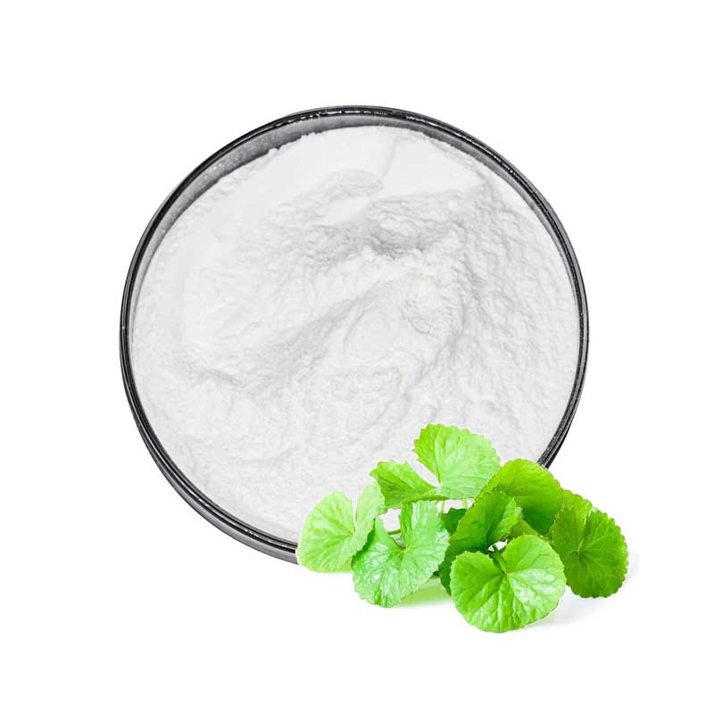 Centella Asiatica Extract supplier- HongHaoherb
