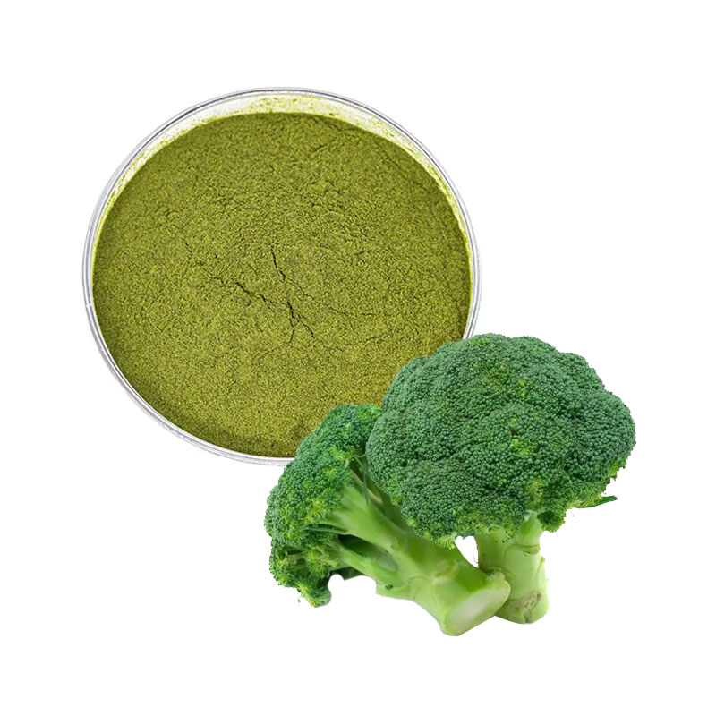 Organic Broccoli Sprout Powder supplier-HongHaoherb