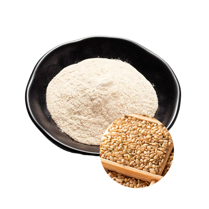 Organic Brown Rice Protein Powder – HongHaoherb