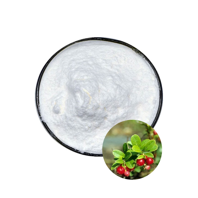 Alpha Arbutin Powder – HongHaoherb