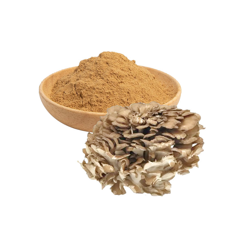 Organic Maitake Extract – HongHaoherb